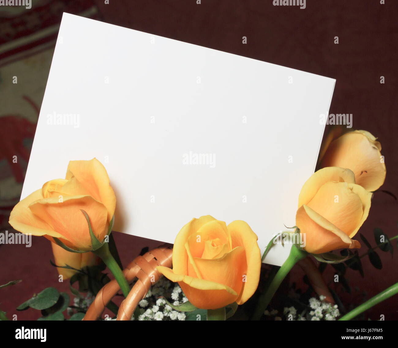 card birthday greeting model design project concept plan draft flower ...