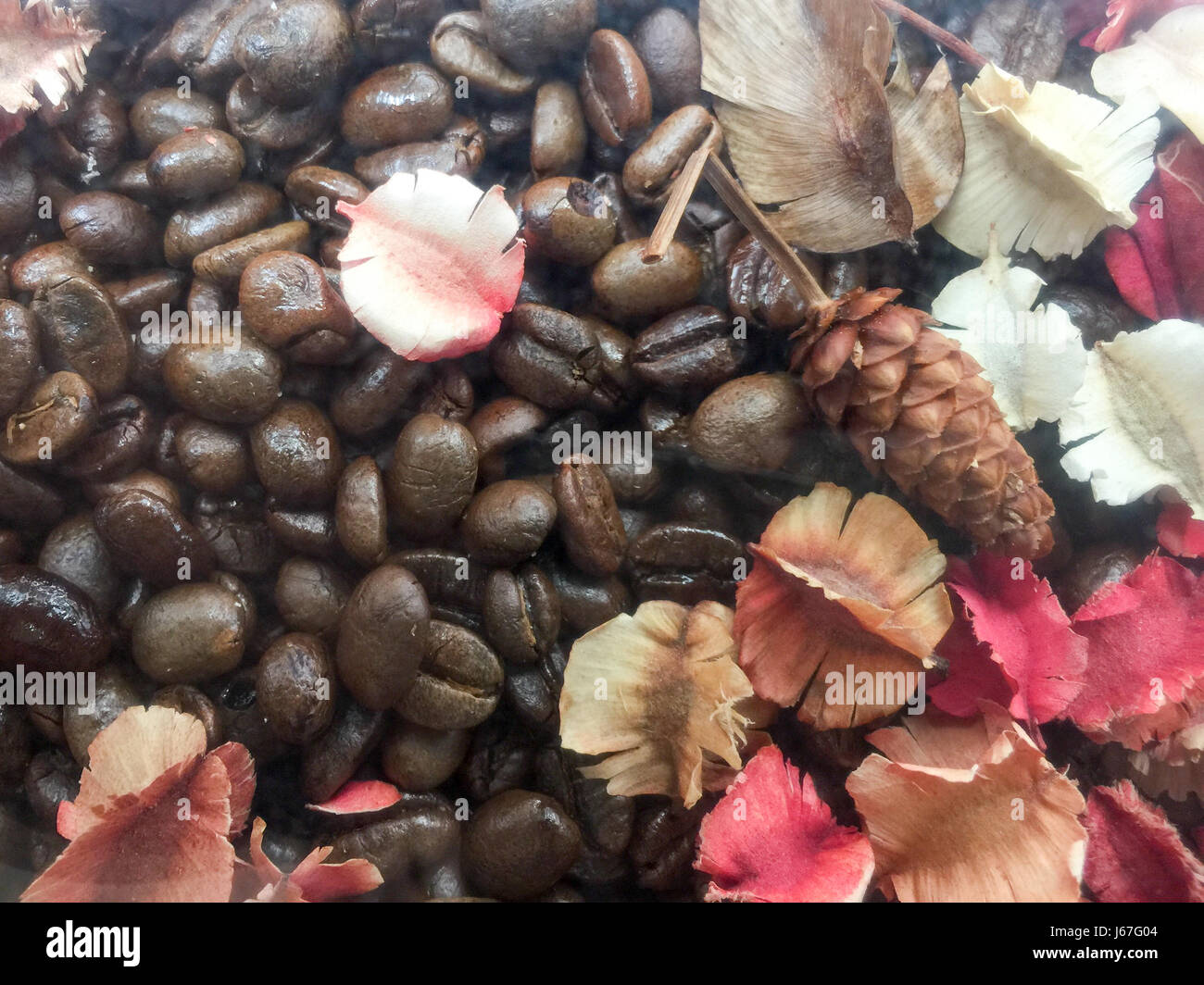 Background of Coffee Beans with Dried Flowers Stock Photo - Alamy