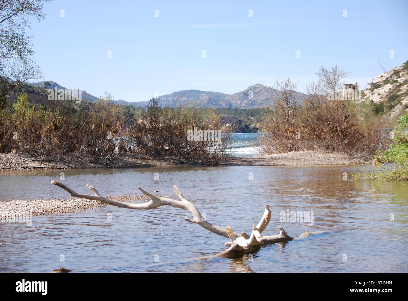 mountains trunk reed spain driftwood river water trunk reed spain rock ...