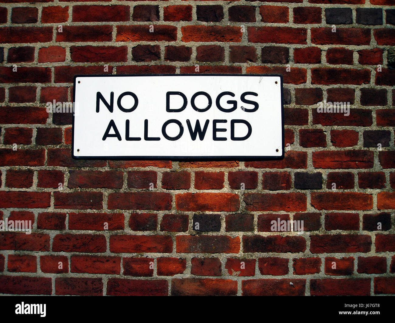 sign signal wall dog england ban illegal prohibited english britain ...