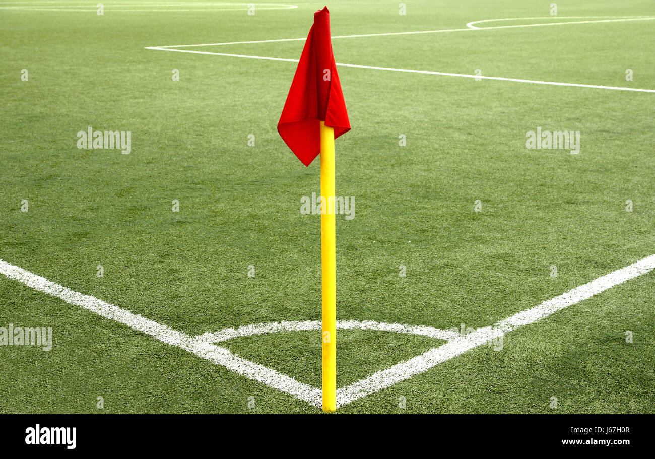 stadium football ground football pitch soccer field sport sports soccer ...