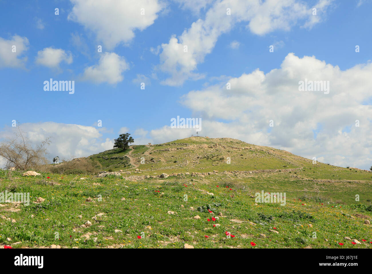 Israel, Shephelah, Tel Zafit, identified as Biblical Gath, one of the ...