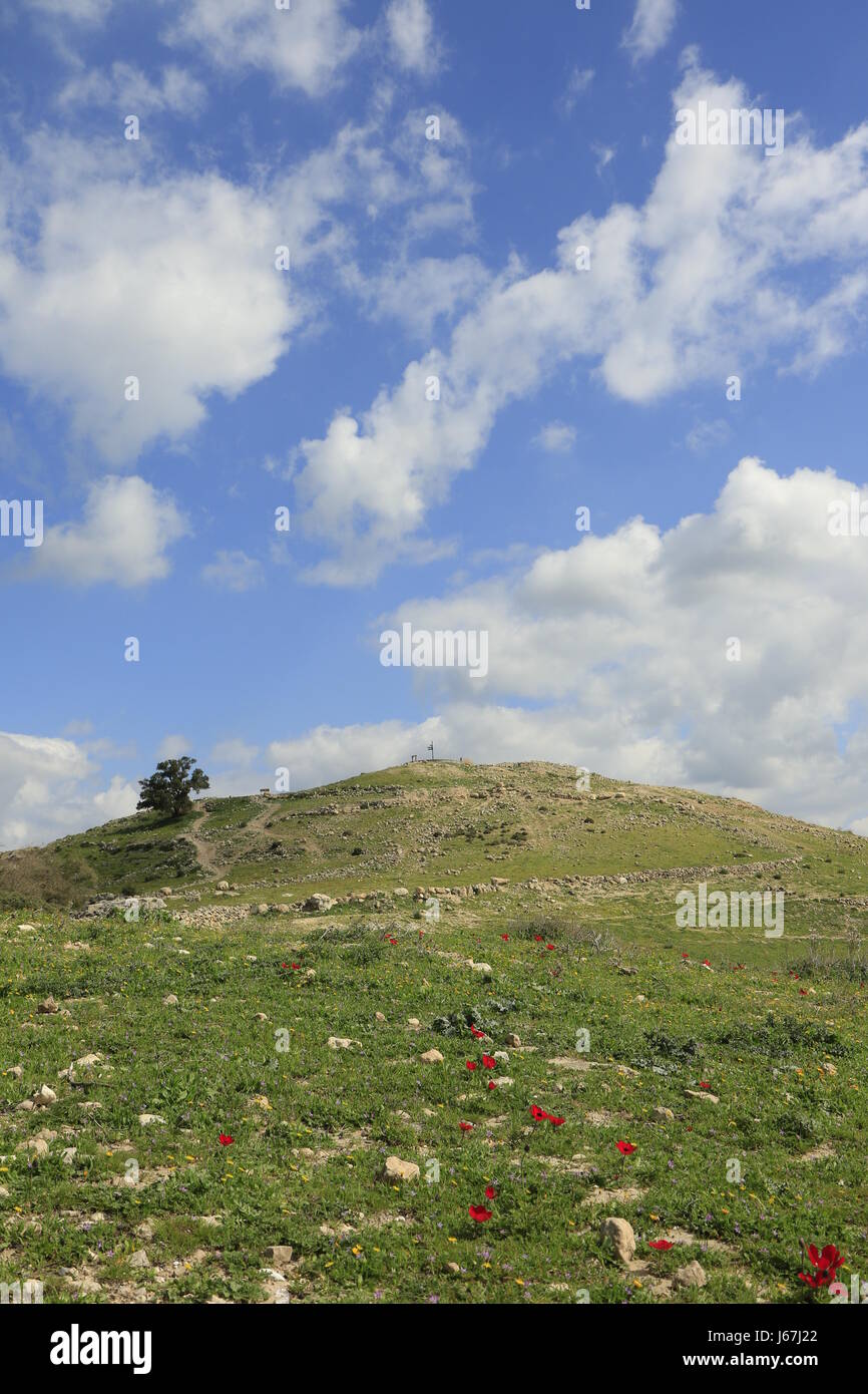 Israel, Shephelah, Tel Zafit, identified as Biblical Gath, one of the ...