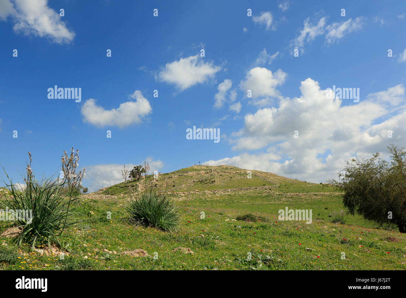 Israel, Shephelah, Tel Zafit, identified as Biblical Gath, one of the ...