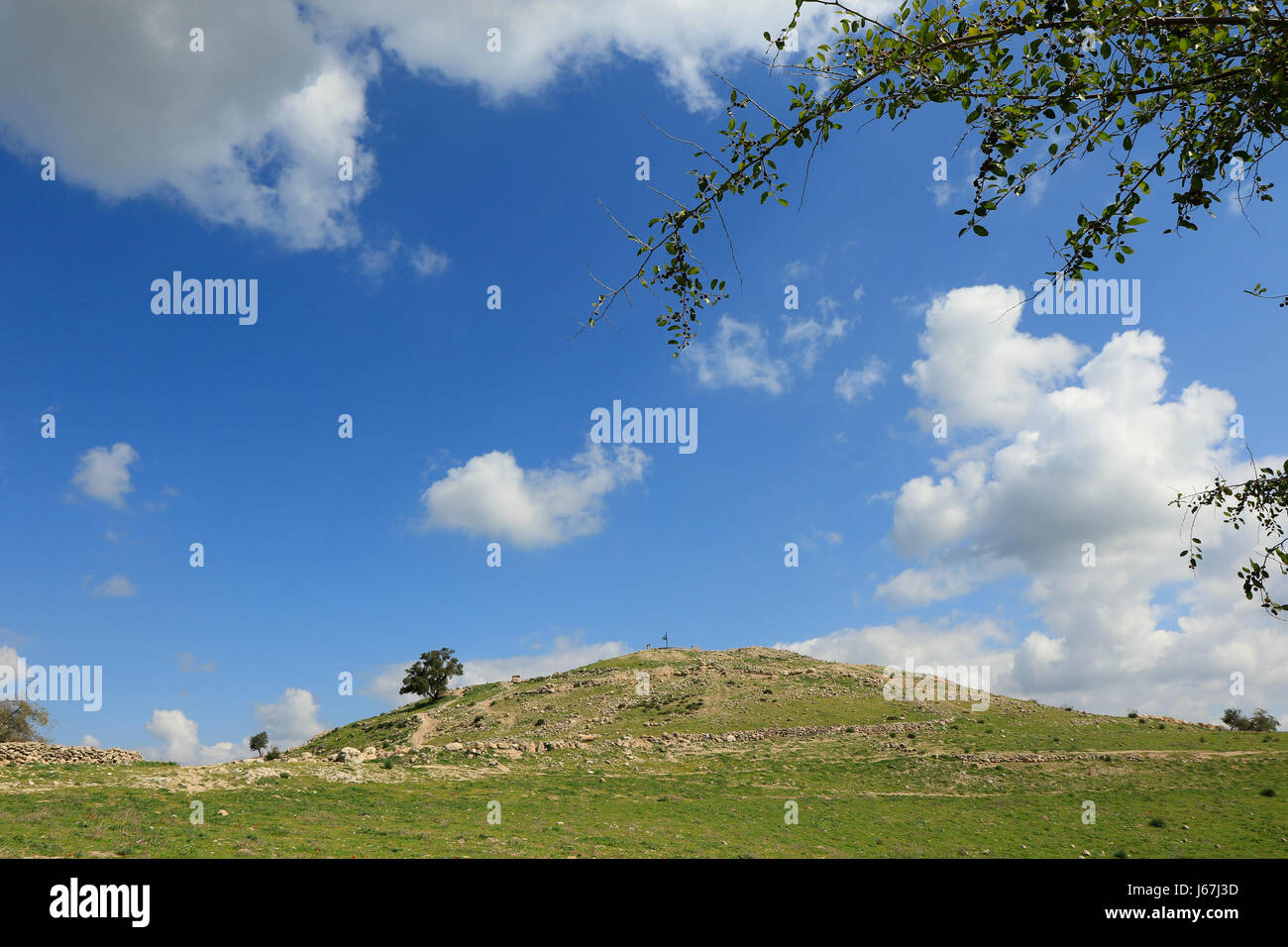 Hi309 874 hi-res stock photography and images - Alamy