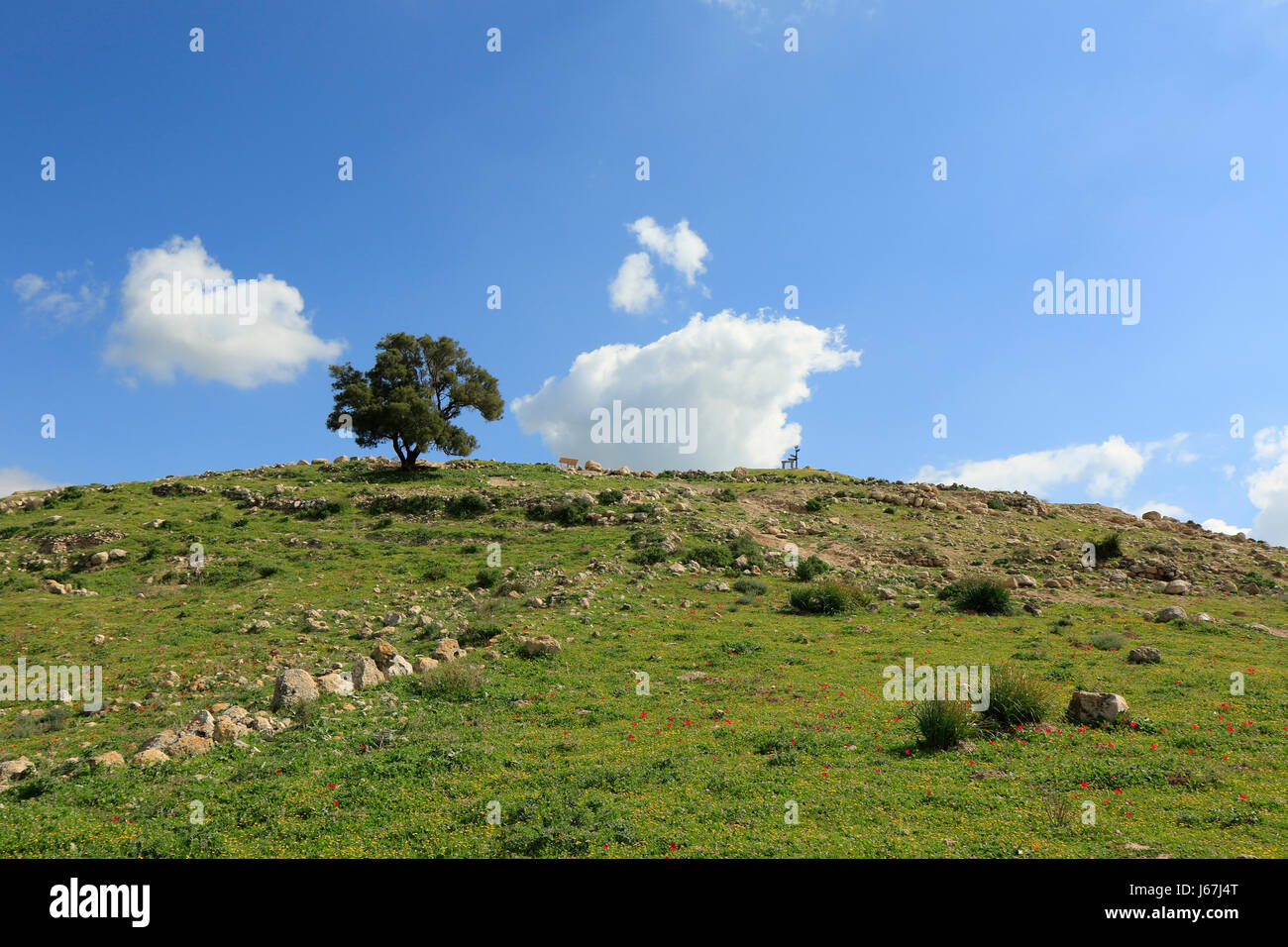 Israel, Shephelah, Tel Zafit, identified as Biblical Gath, one of the ...