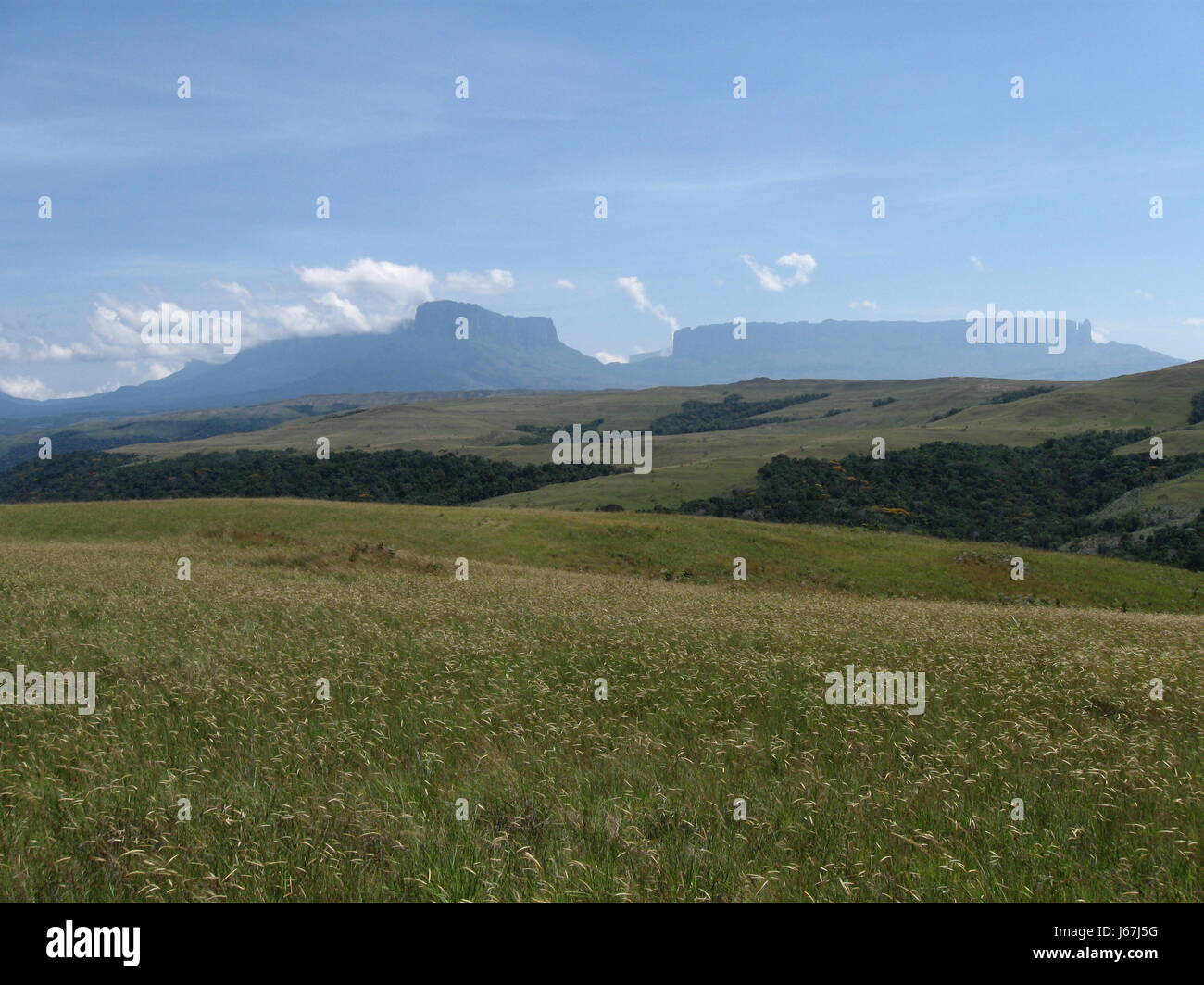 tepui kukenan and monte roraima Stock Photo - Alamy