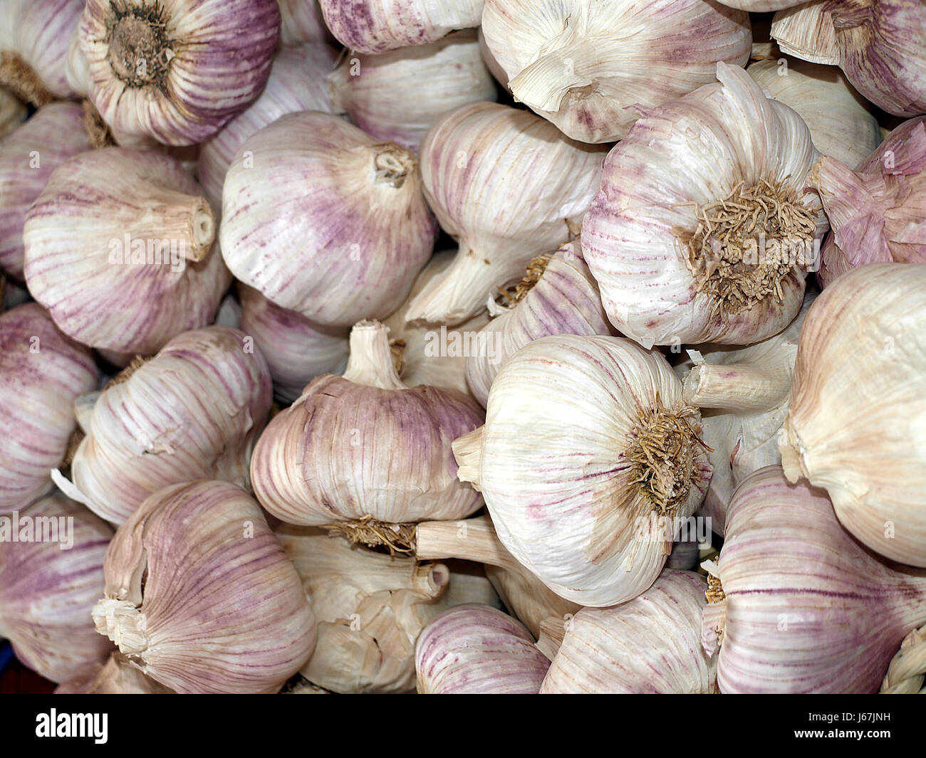 spice garlic french red spice toe kitchen cuisine boil cooks boiling ...