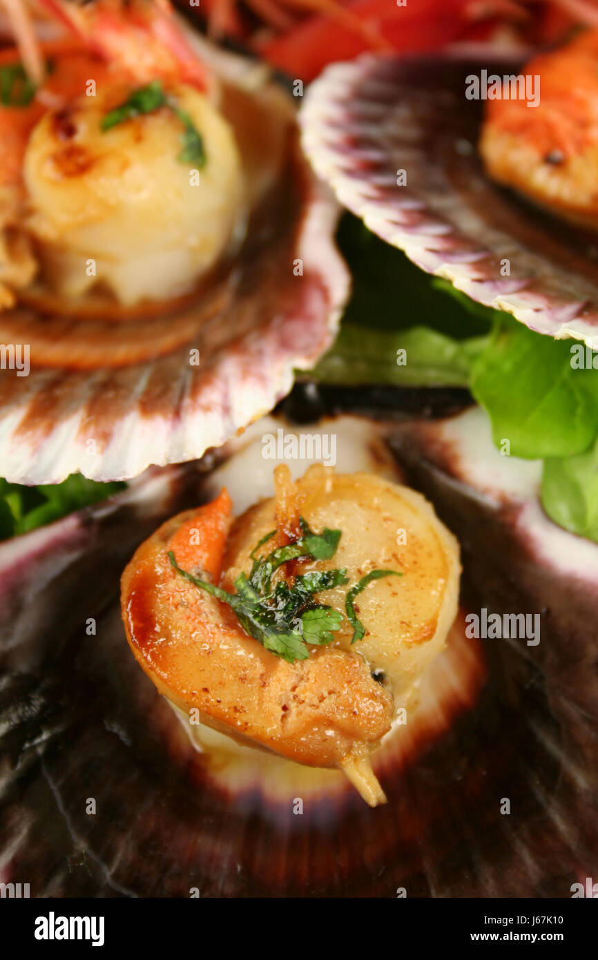 Quotpan fried scallopsquot hi-res stock photography and images - Alamy