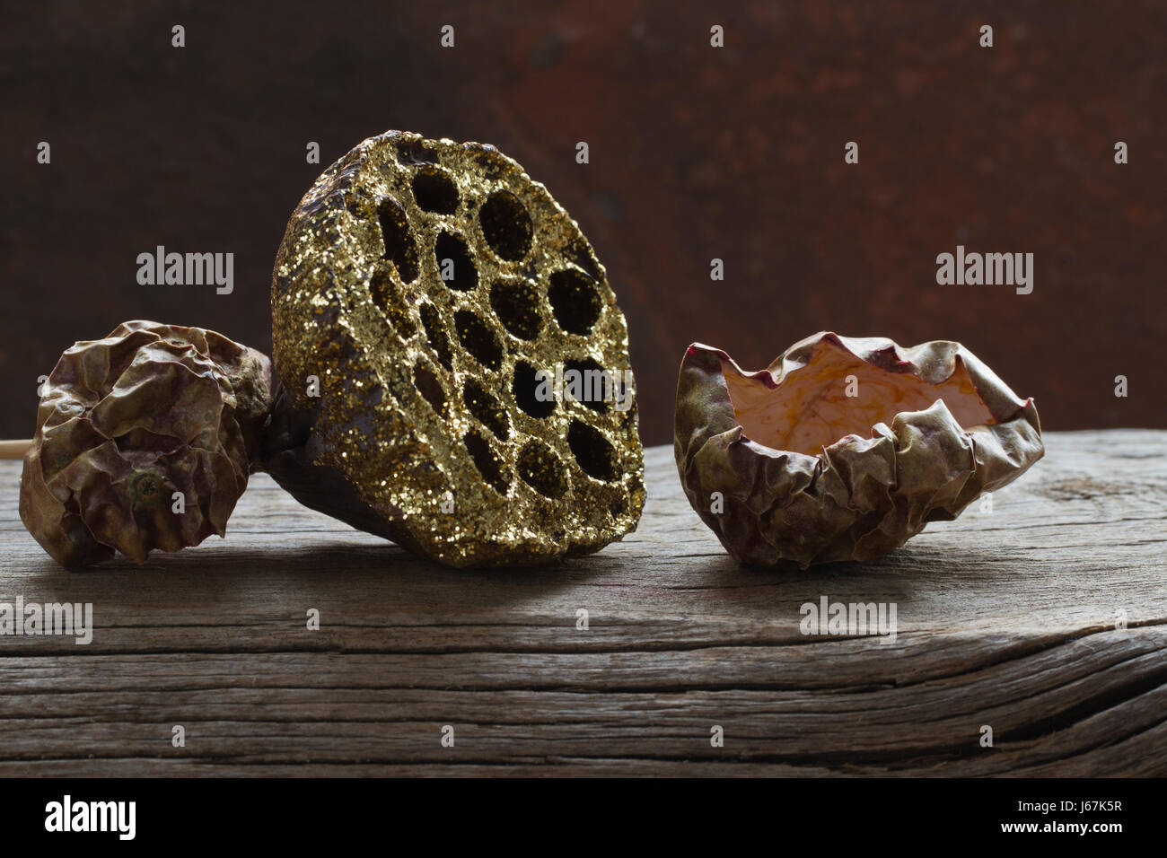 three dried objects Stock Photo - Alamy