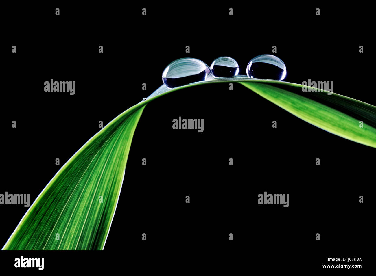 Regen regentropfen hi-res stock photography and images - Alamy