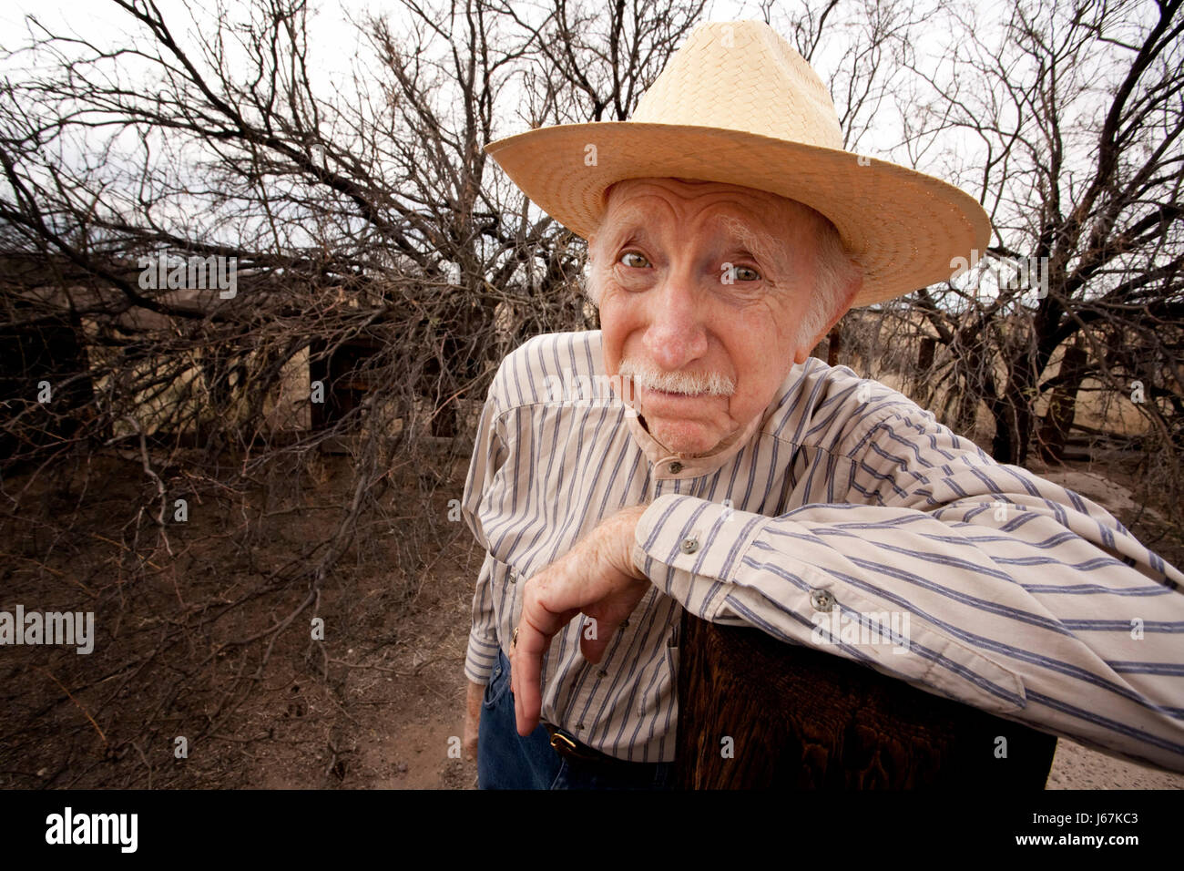 male masculine hat eyes cowboy handsome rancher man straw tree wood ...