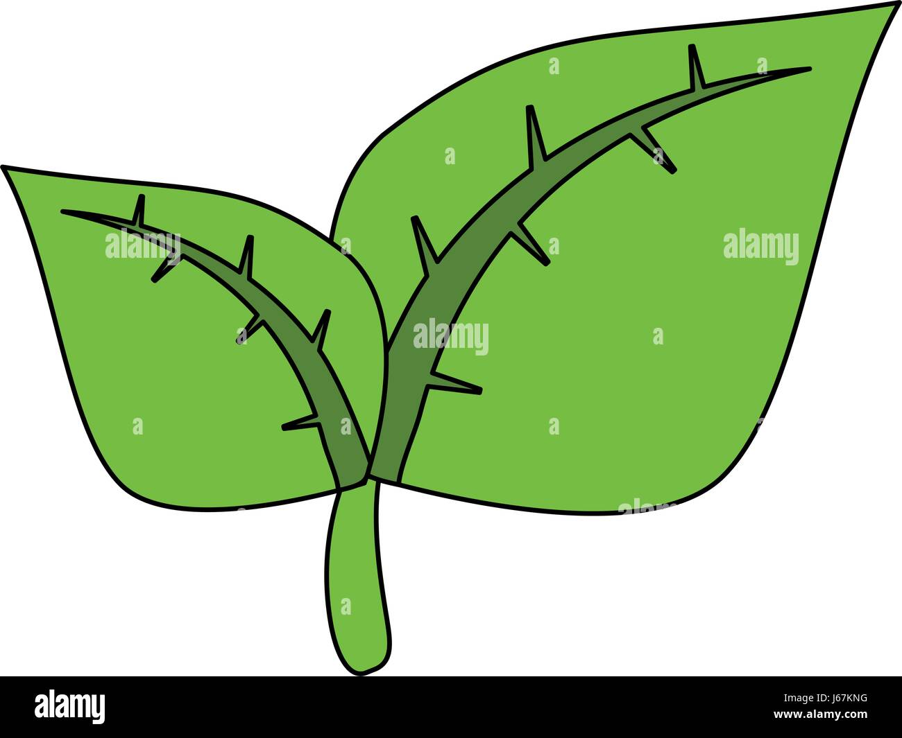color image cartoon green leaves with ramifications Stock Vector Image ...