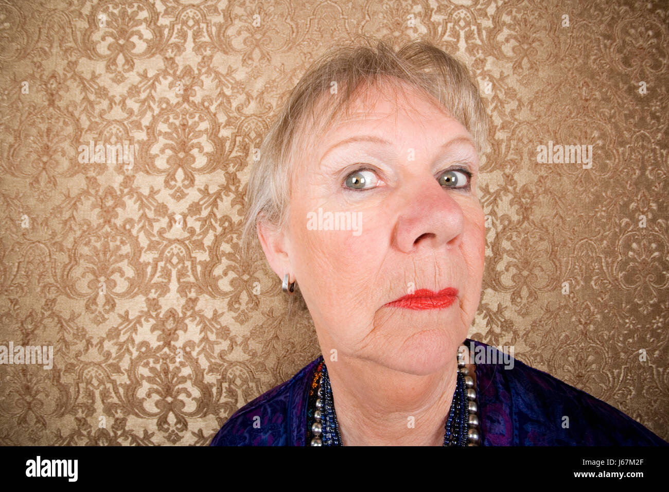 Snooty face hi-res stock photography and images - Alamy