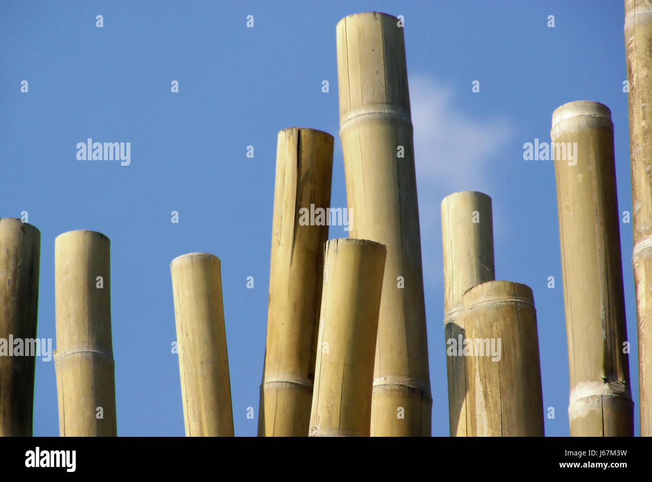 reed bamboo blade meadow grass lawn green tube pipe blue reed fence ...