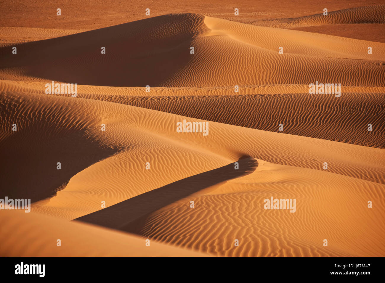 desert wasteland africa dune sands sand nature natural travel holiday ...