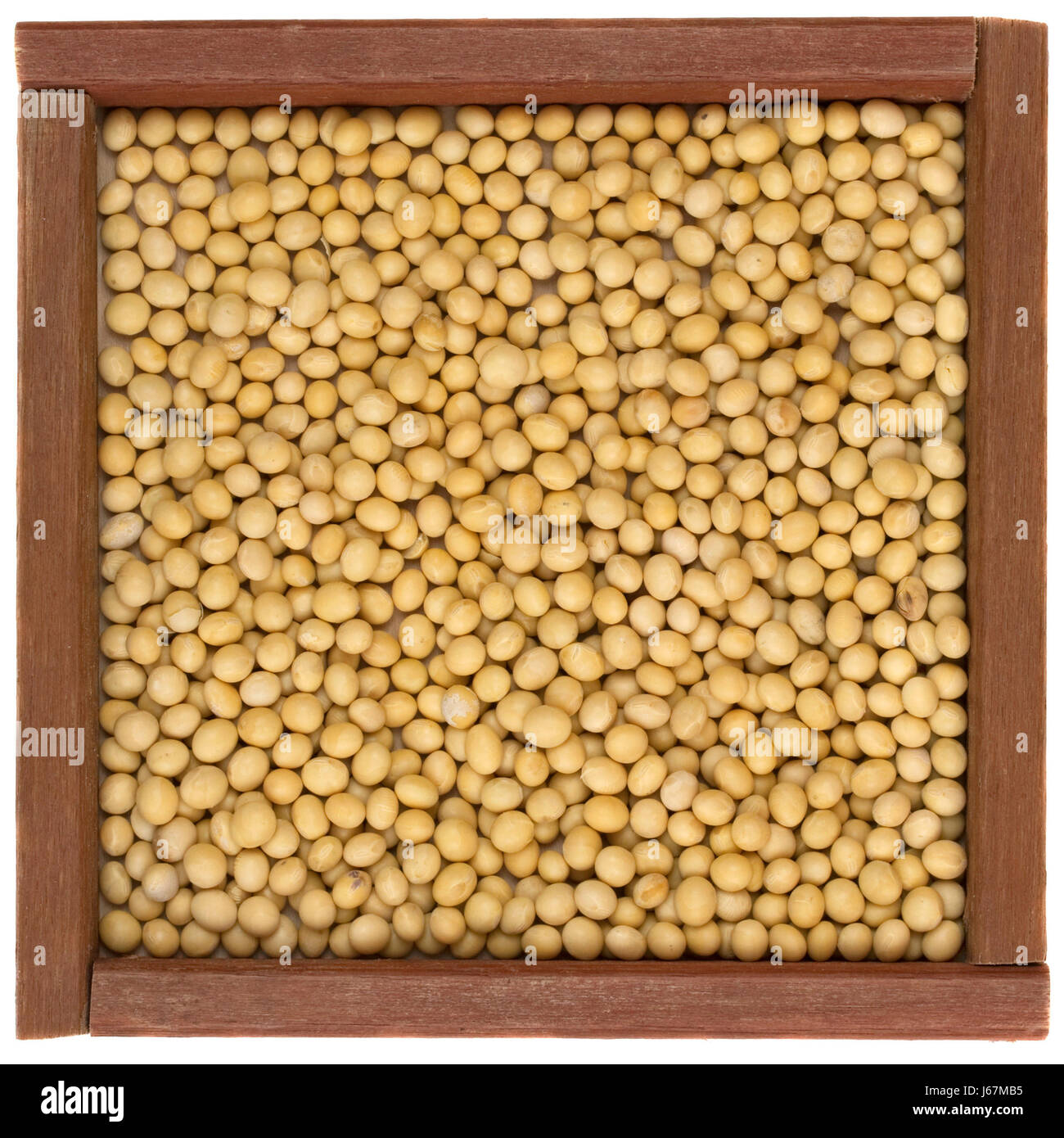 box soy soya soybean bean backdrop background food aliment isolated ...