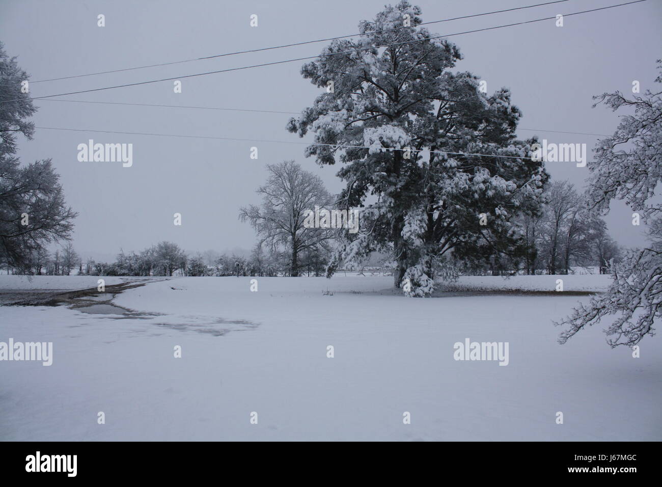 Snow Covered Lawn Stock Photo - Alamy