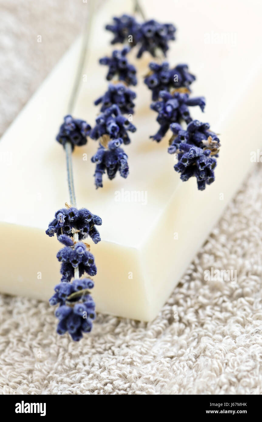 hygiene lavender soap beauty bar relaxation wellbeing aromatic wellness ...