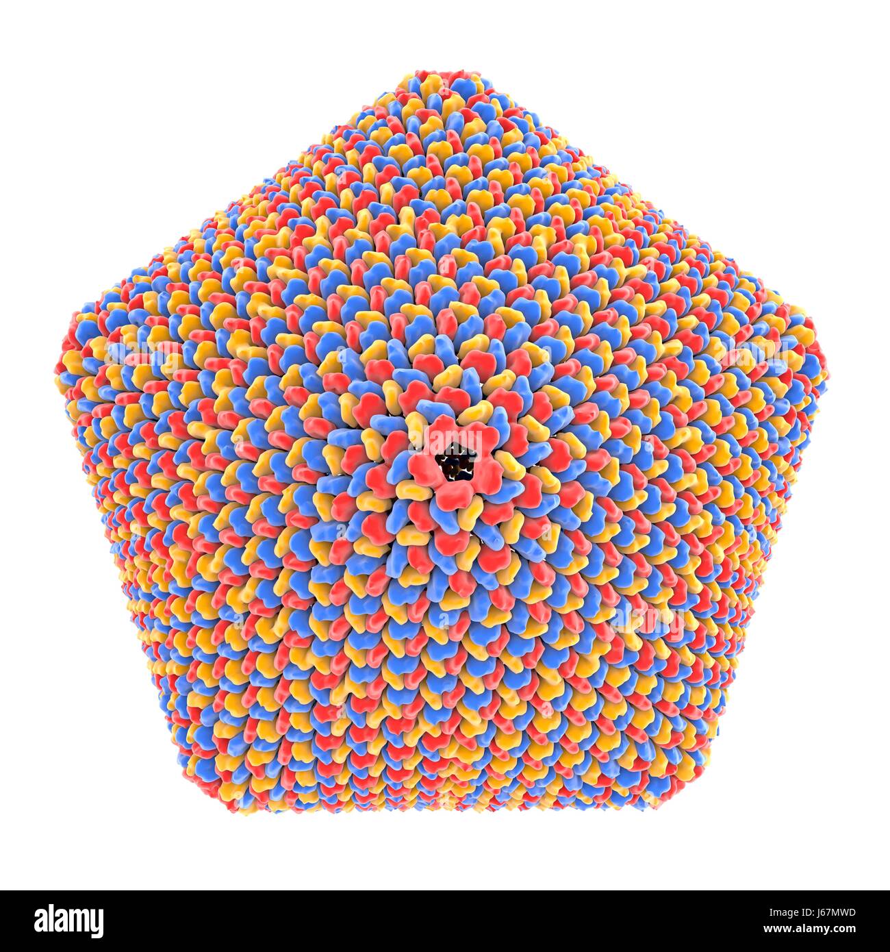 Computer artwork of an icosahedral virus capsid, derived from protein ...