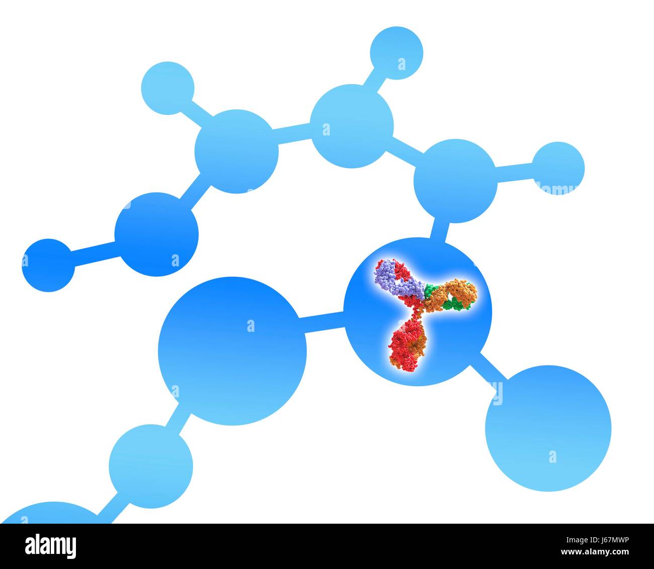 Abstract molecule design, showing a 3d immunoglobulin G antibody human ...