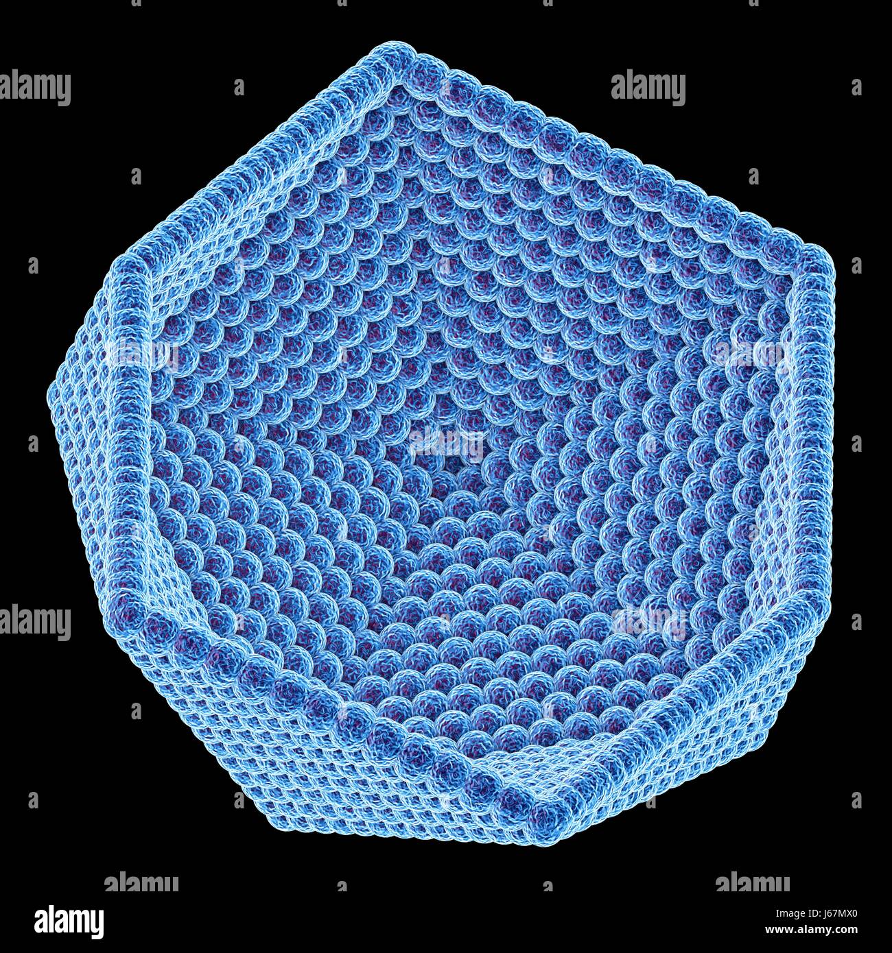 Computer artwork of the inner surface of an icosahedral virus capsid ...