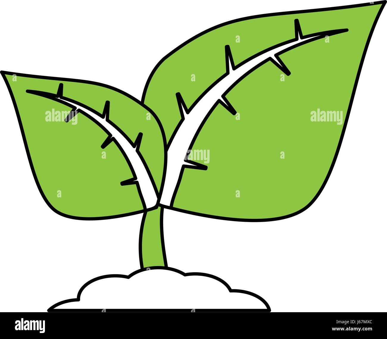 color silhouette image cartoon green leaves with ramifications on ...