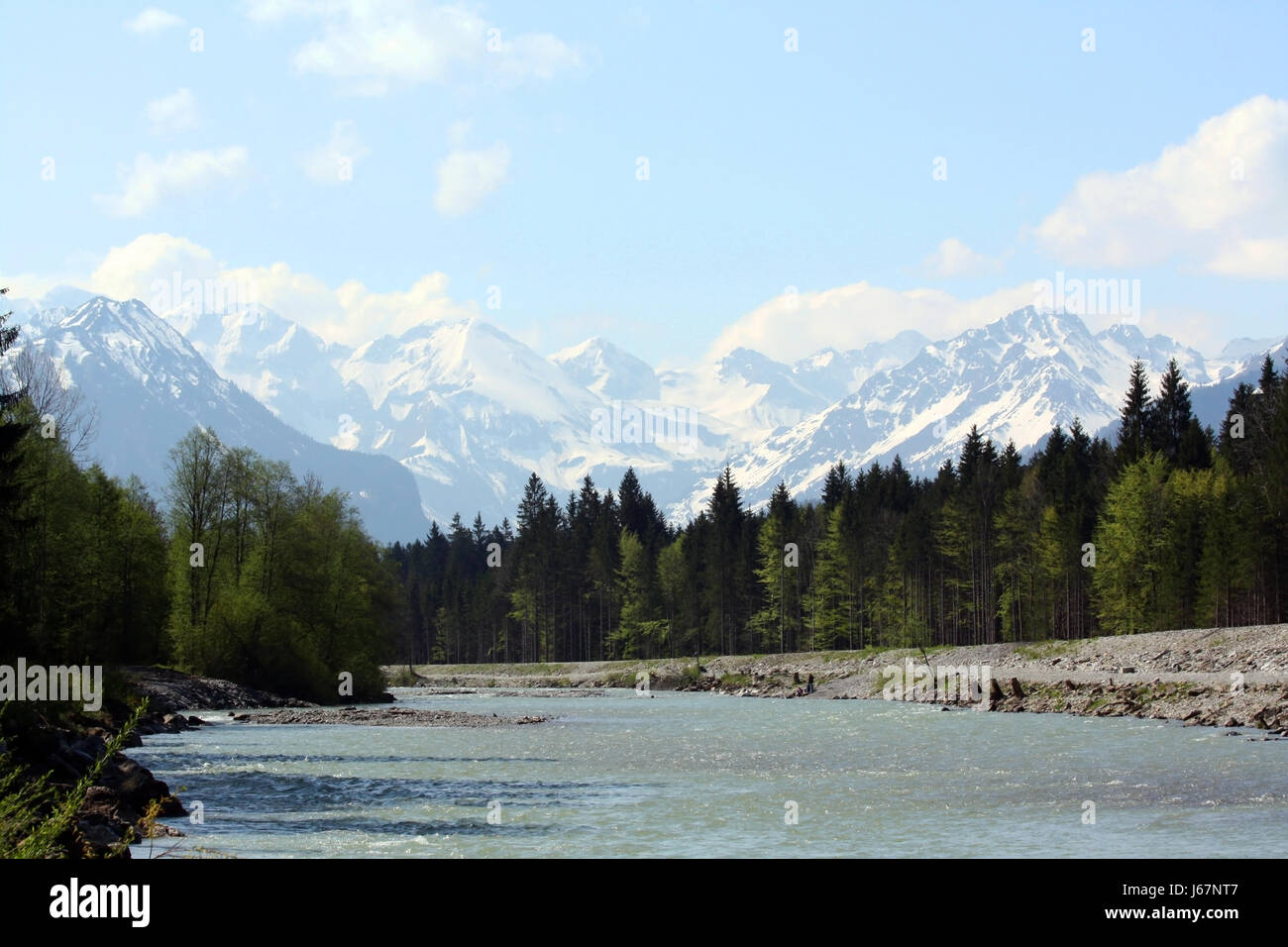 melting of snow tree trees mountains spring allgu melting of snow snow ...