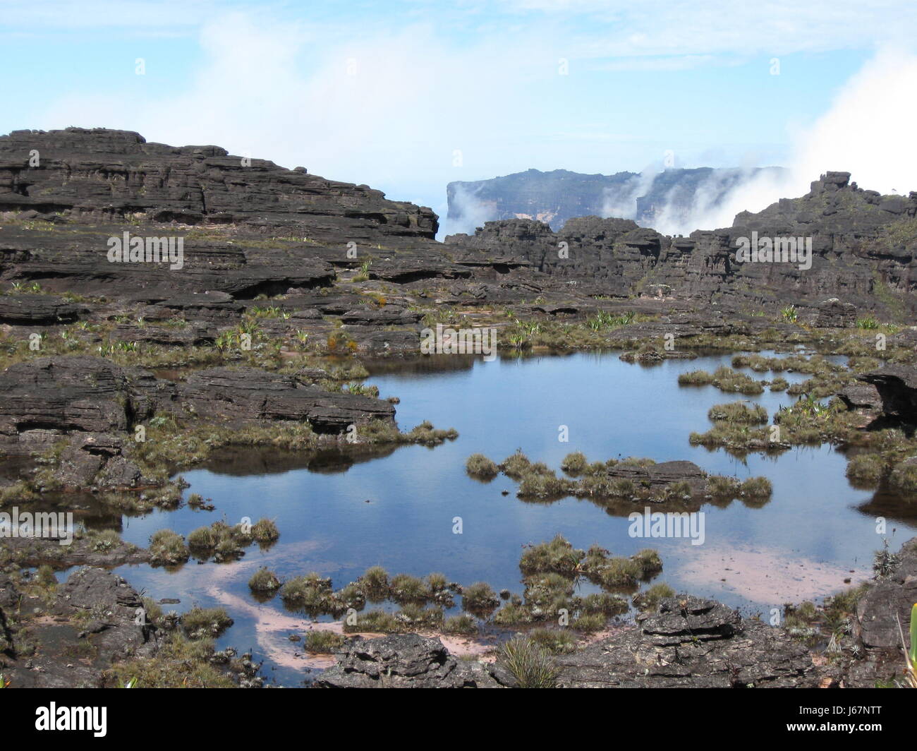 Tafelberg venezuela hi-res stock photography and images - Alamy