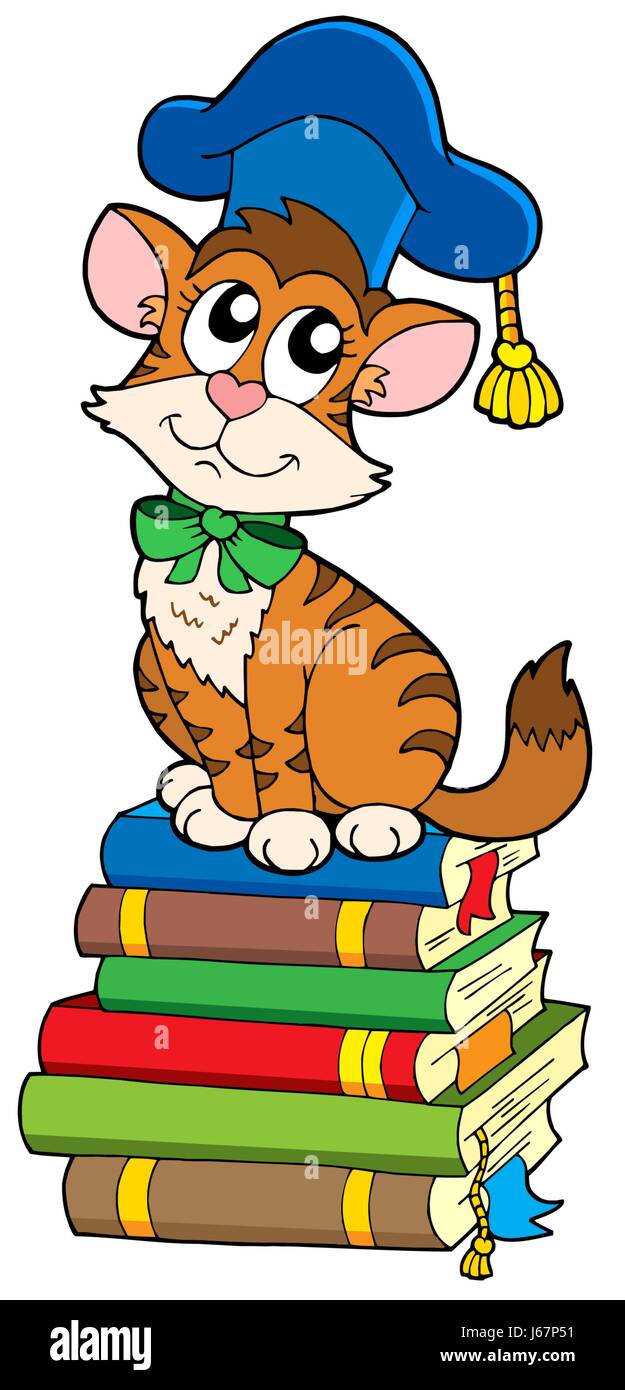 teacher education animal pet cat baby kitten pussycat cat domestic cat ...