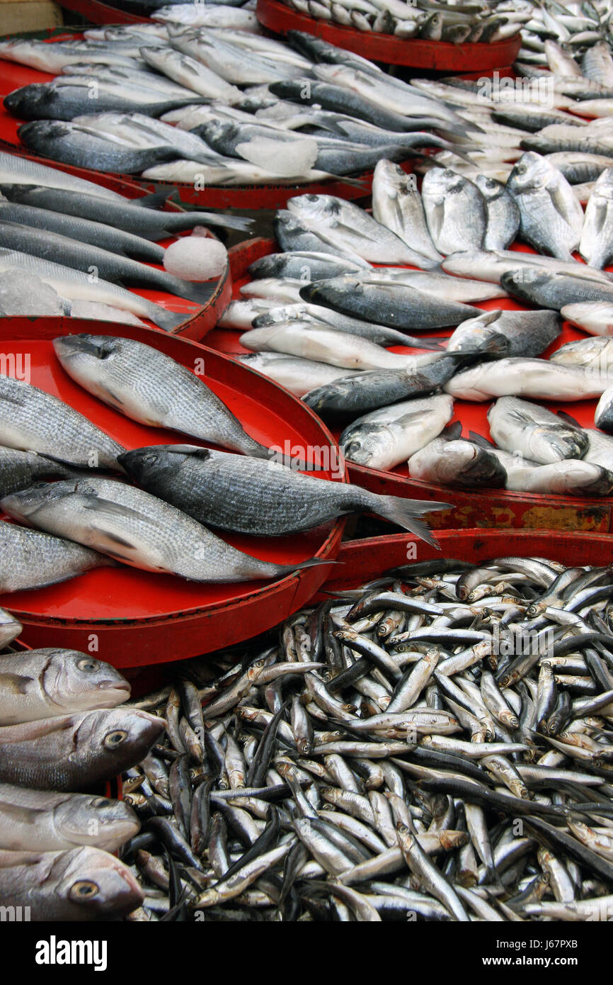 fishing prey booty fish-market weekly market marketplace flea market ...