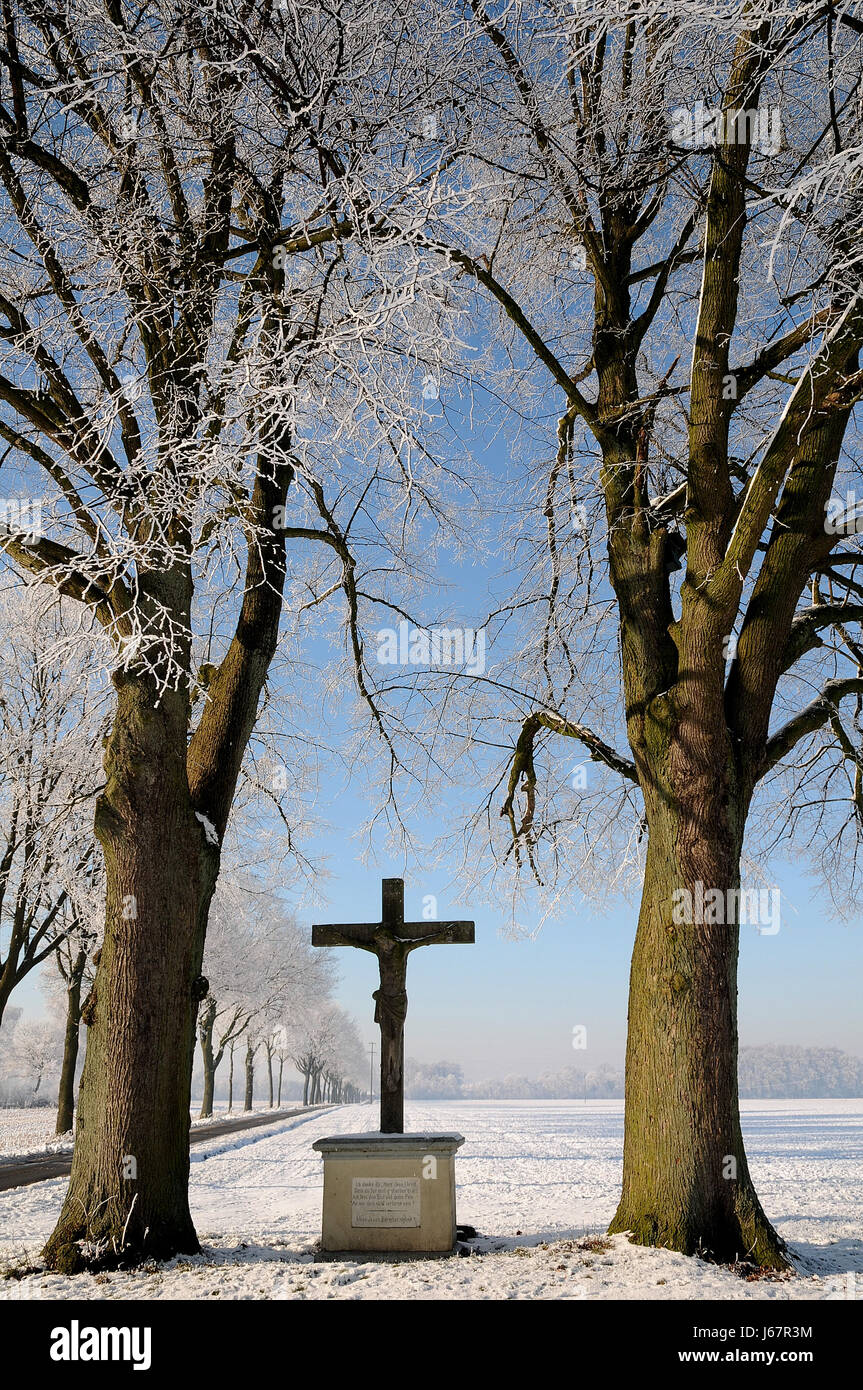 religion tree trees winter cross snow nature religion tree trees winter ...