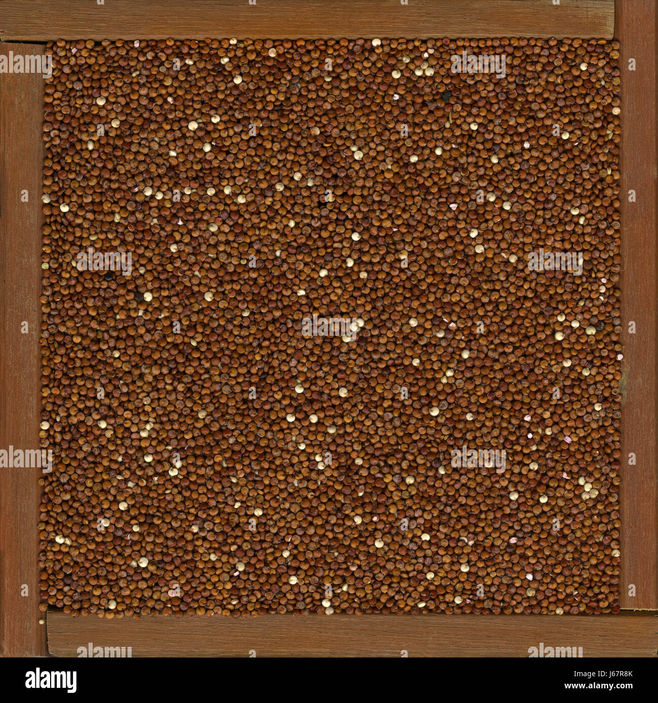 grain backdrop background red texture cereal macro close-up macro ...