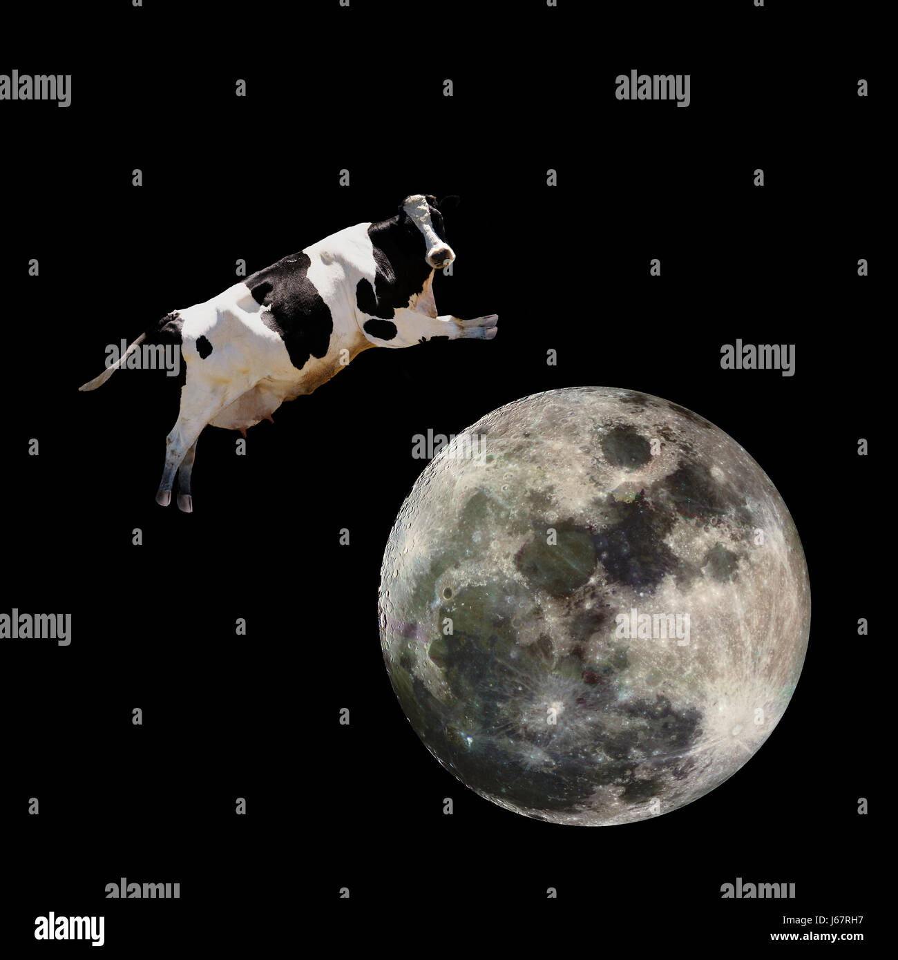 space science animal night nighttime moon over spring bouncing bounces ...