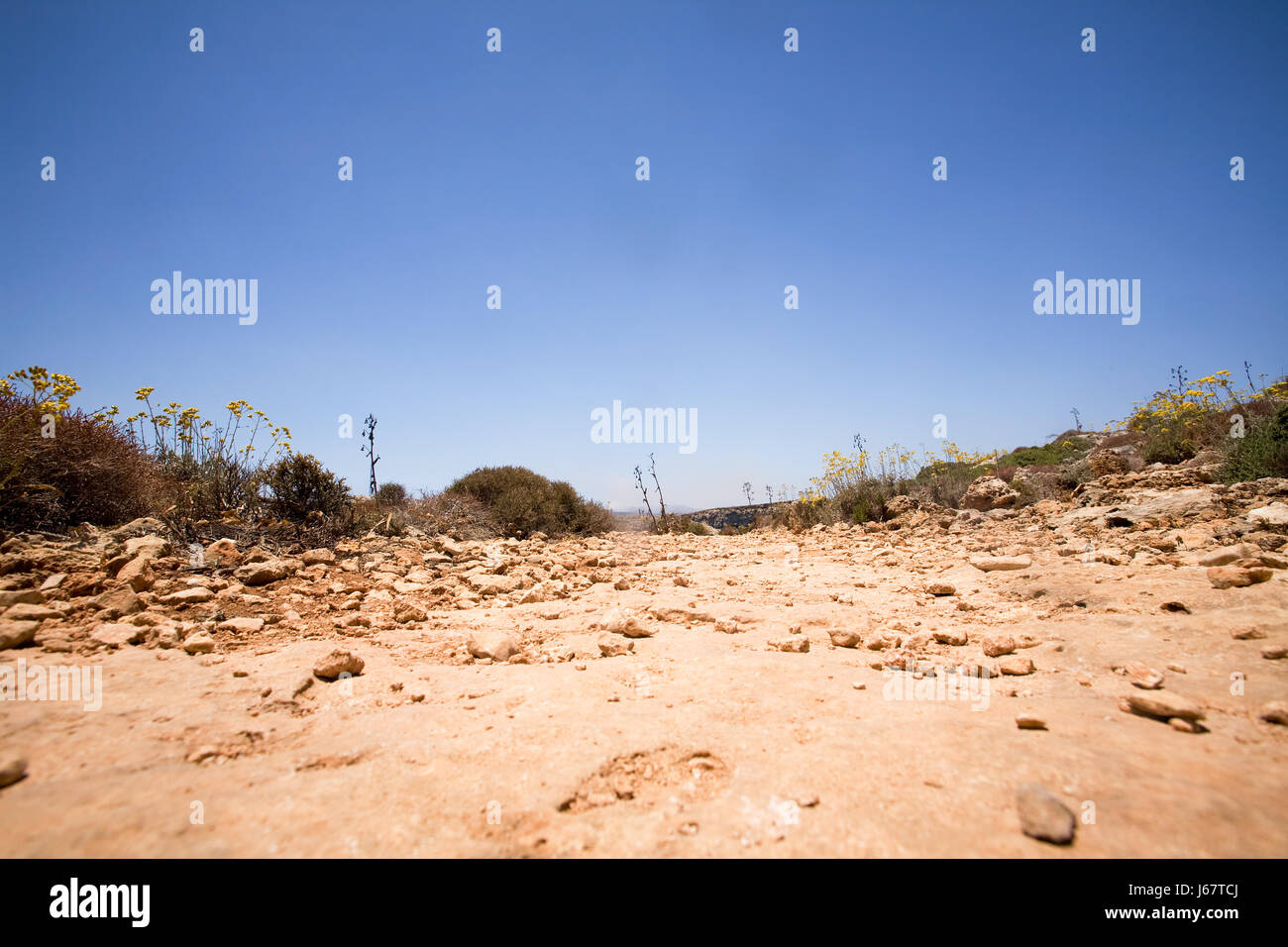blue desert wasteland ground soil earth humus dust summer summerly hot ...