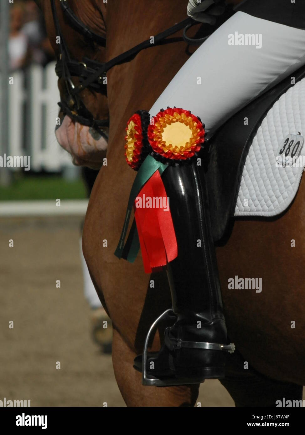 sport sports ride horse riding won success victory win horseriding ...