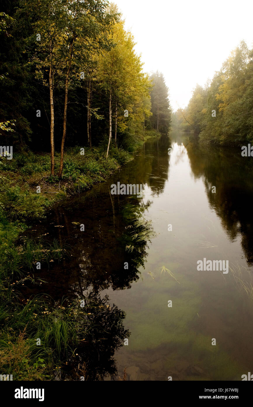 beautiful beauteously nice environment enviroment tree park wood dreamy ...