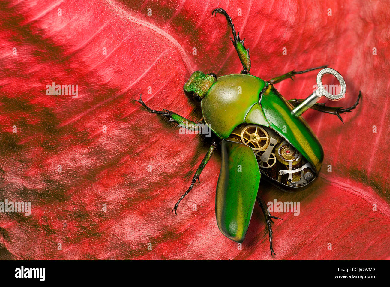 Beetle robot hi-res stock photography and images - Alamy