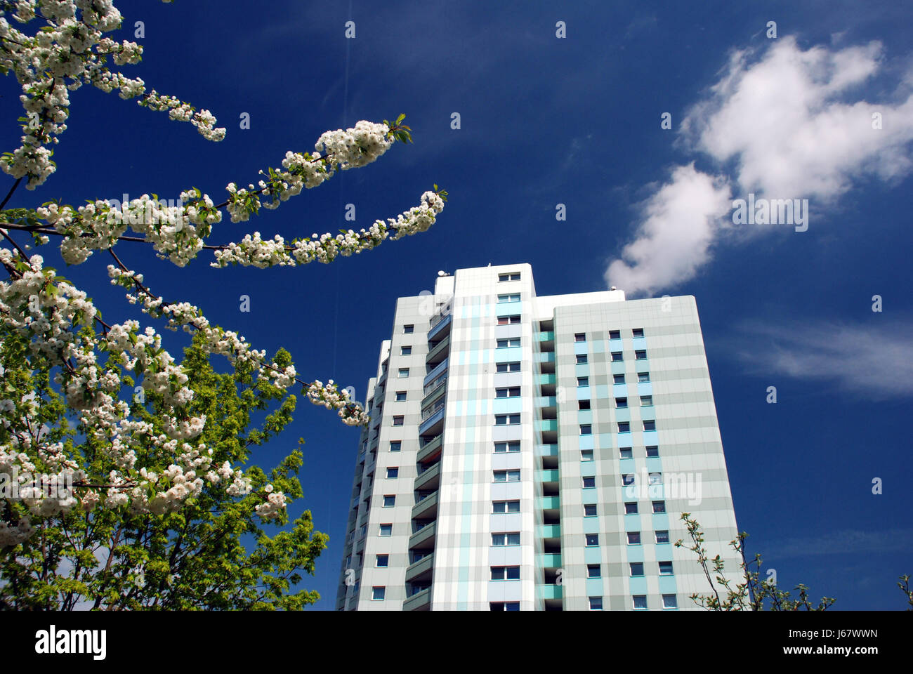 berlin,skyscraper in spring Stock Photo - Alamy