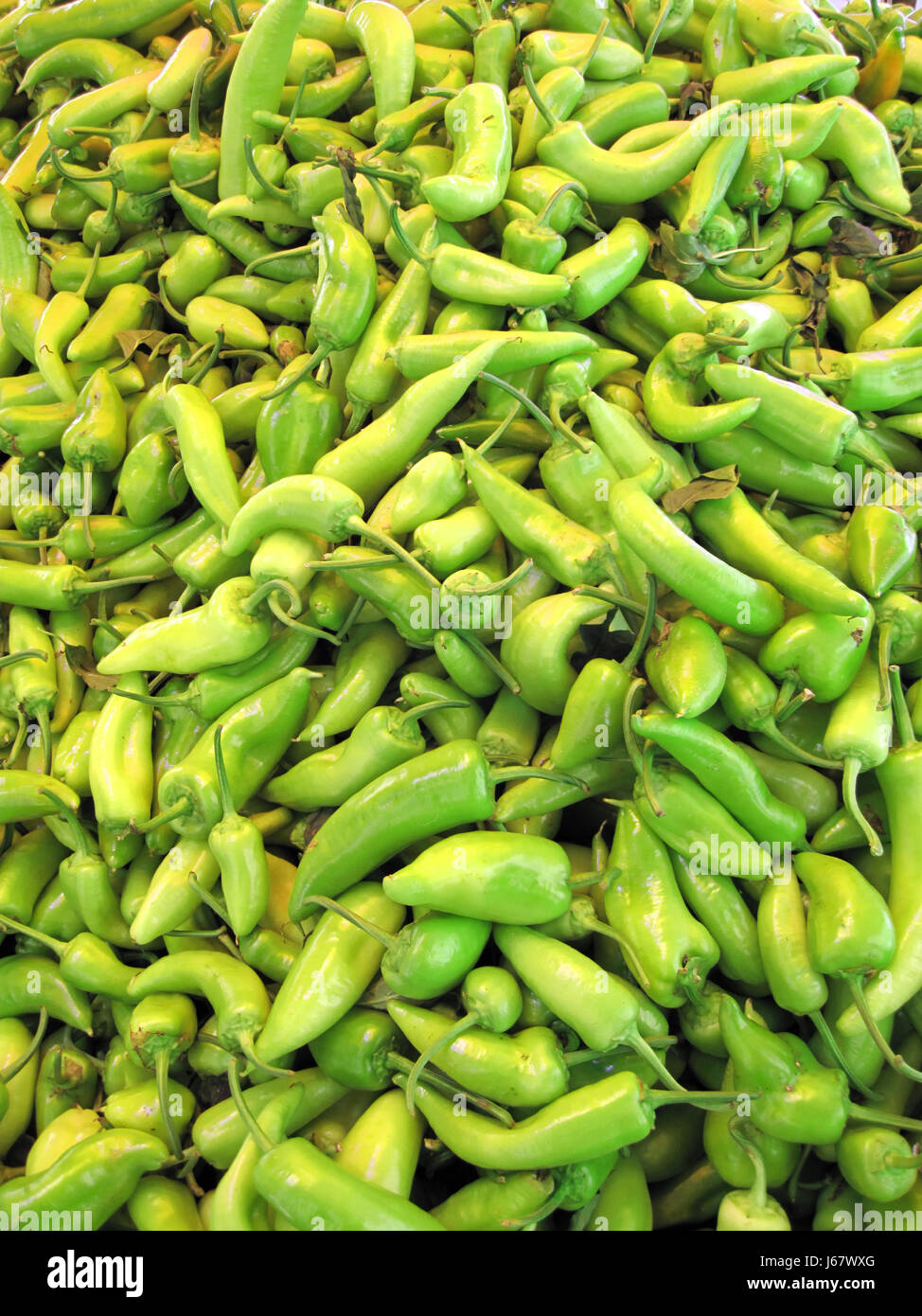 Vegetable chilli peppers capsicum annum hi-res stock photography and ...
