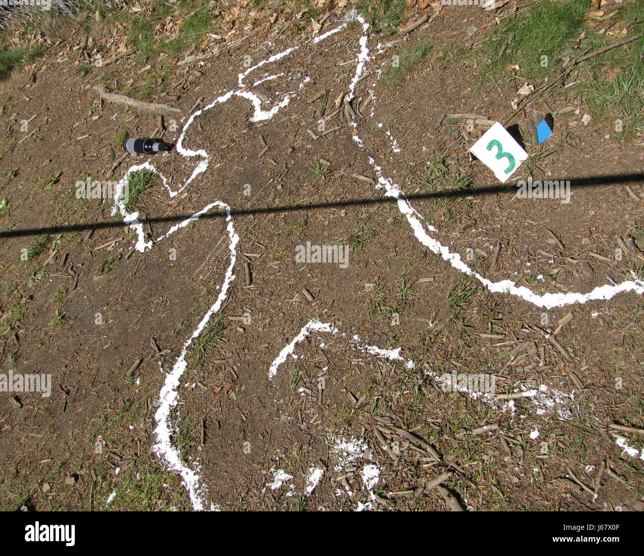 Forest crime scene hi-res stock photography and images - Alamy