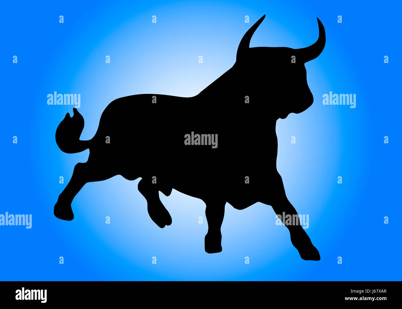 scharzer bull on blue runs Stock Photo - Alamy