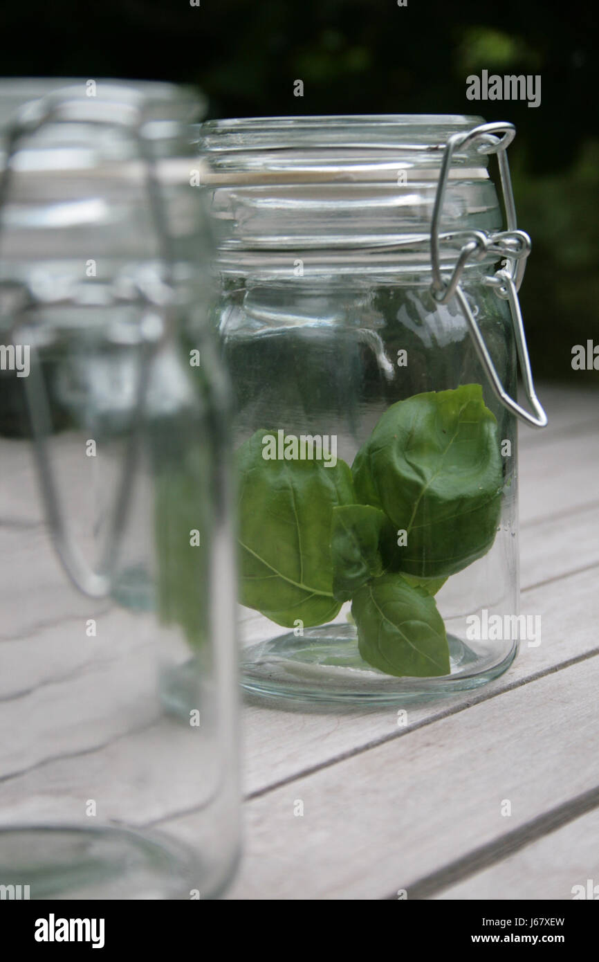 basil in glass Stock Photo - Alamy