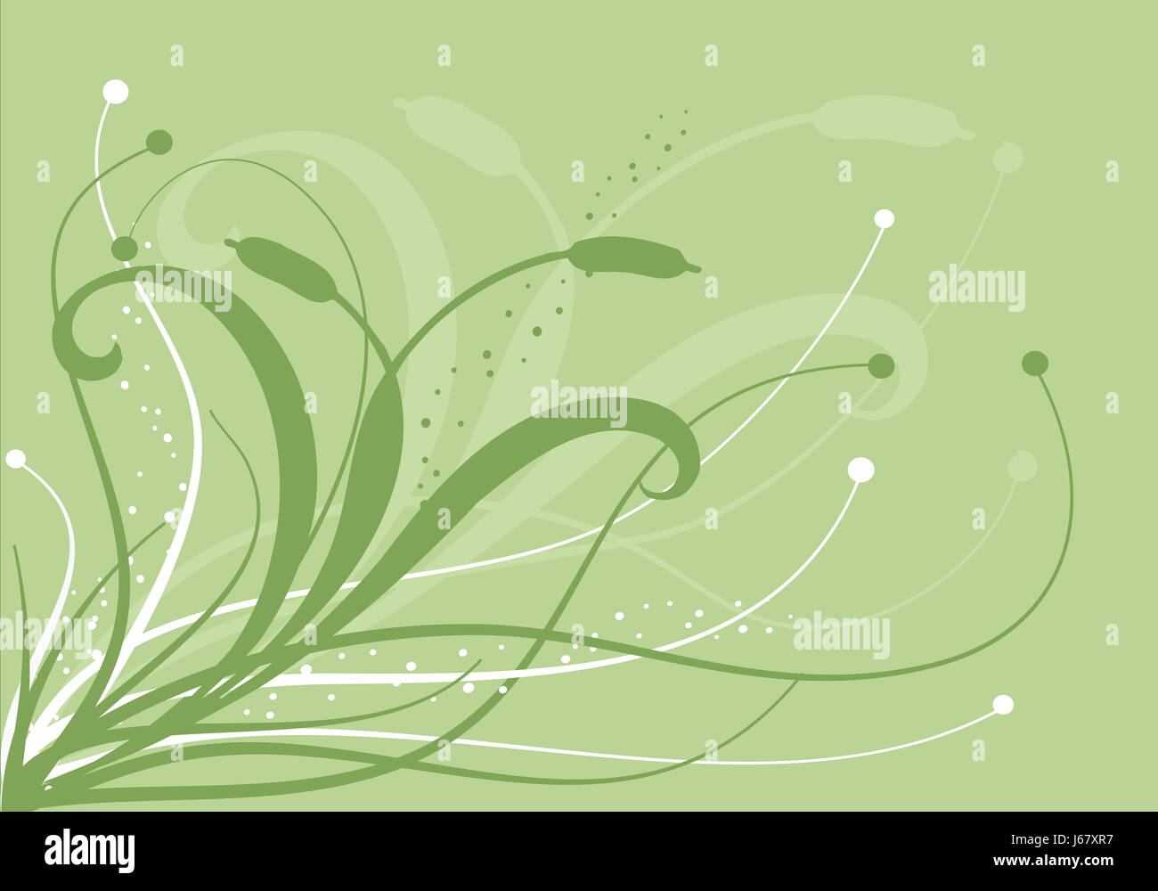 illustration decorative backdrop background design isolated model ...