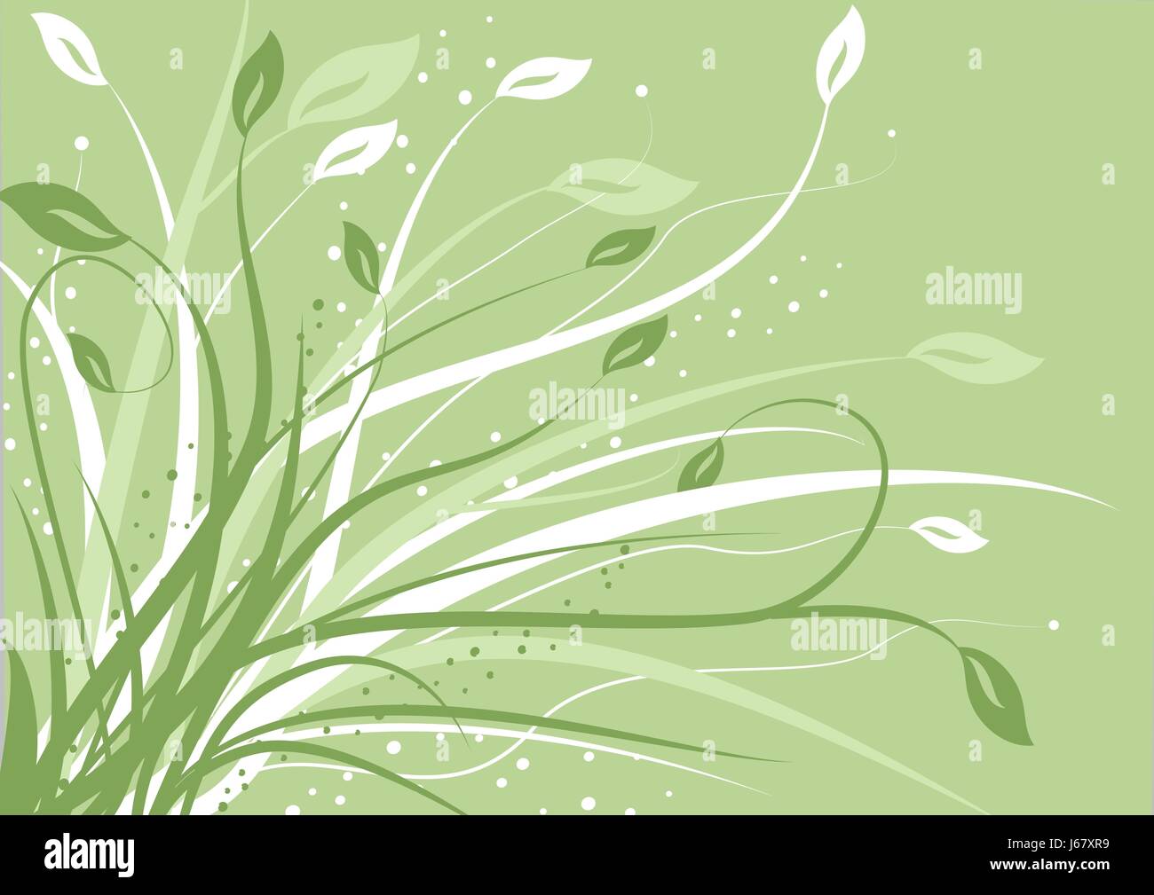 illustration decorative backdrop background design isolated model ...