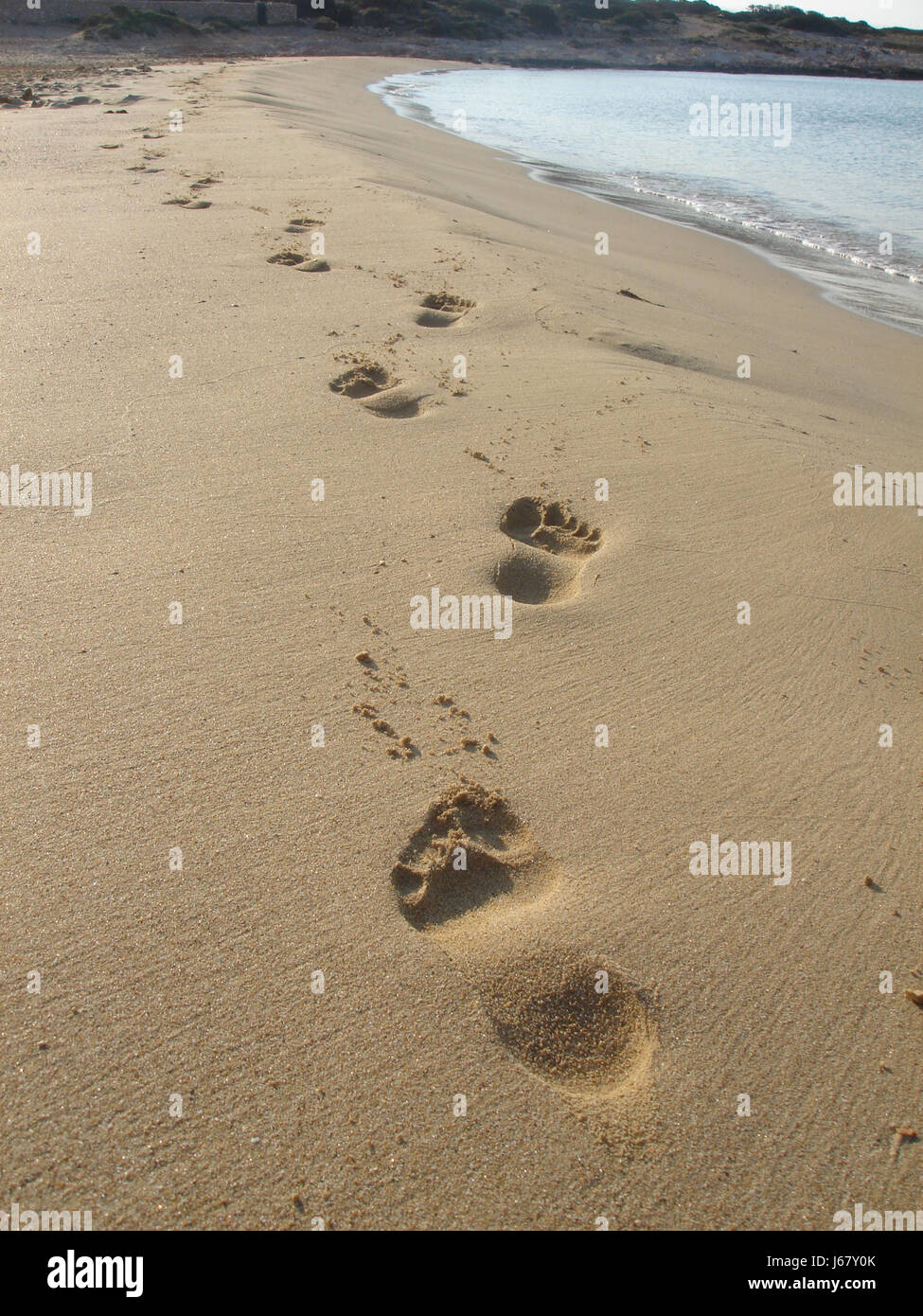 beach seaside the beach seashore foot track footmark footprint trace ...