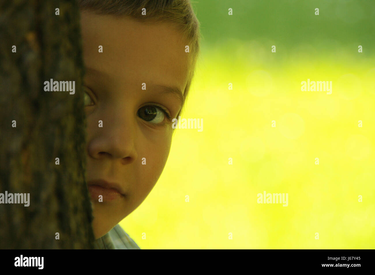 frightened boy behind tree Stock Photo - Alamy