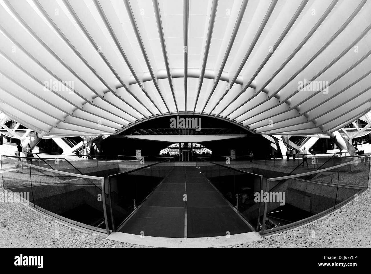 shell made of steel Stock Photo - Alamy