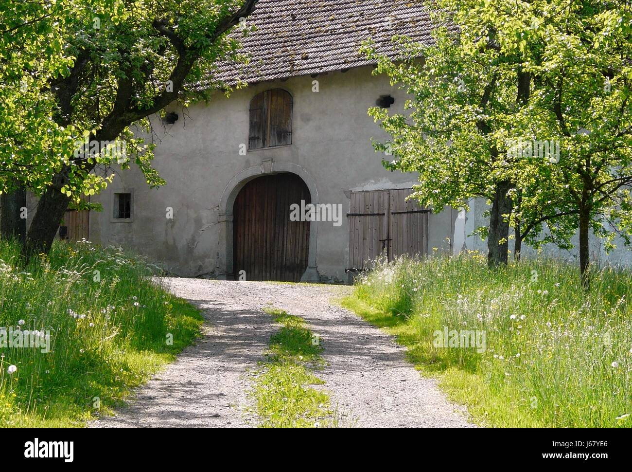 farm in spring Stock Photo - Alamy