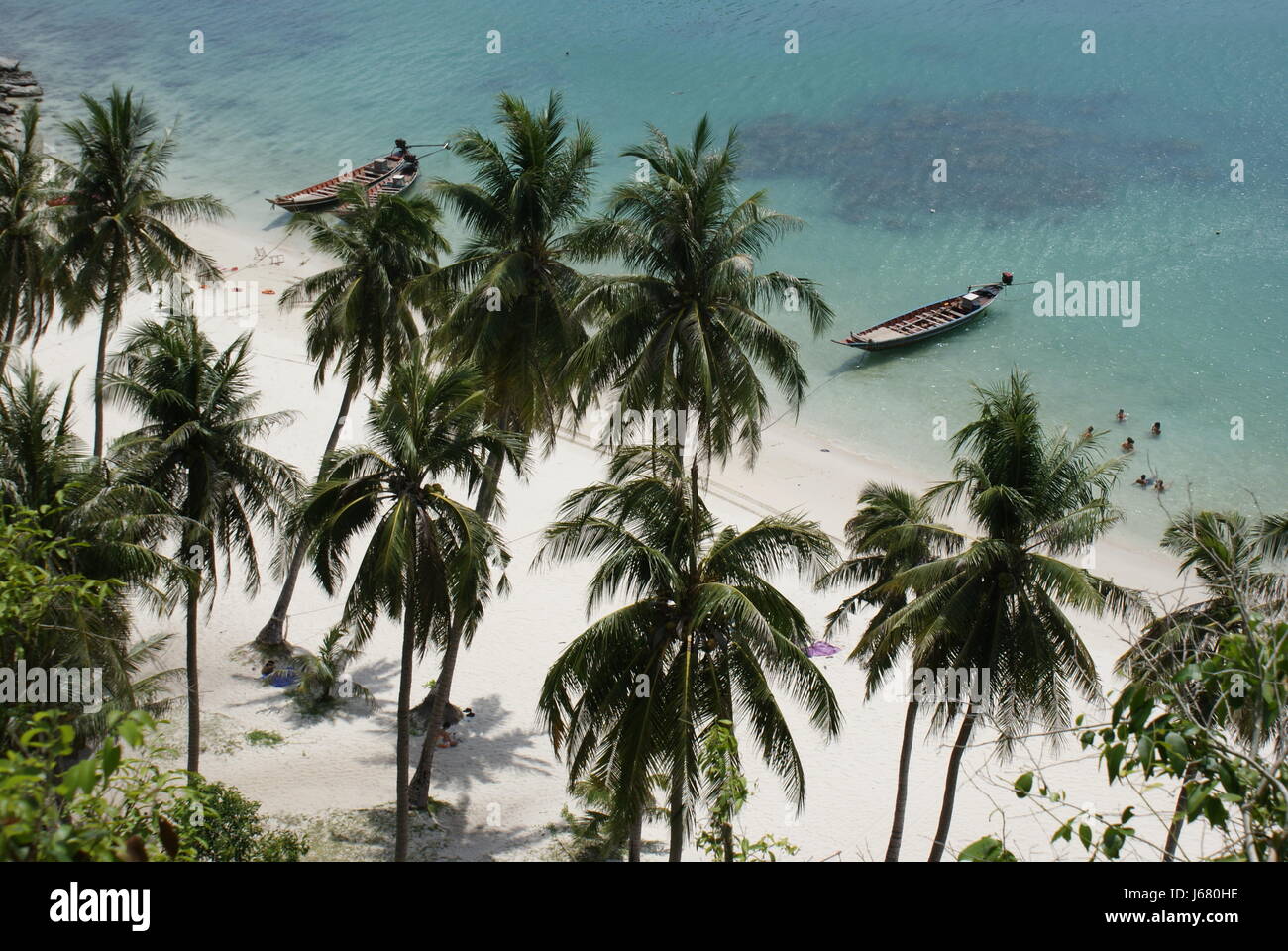 Talap hi-res stock photography and images - Alamy